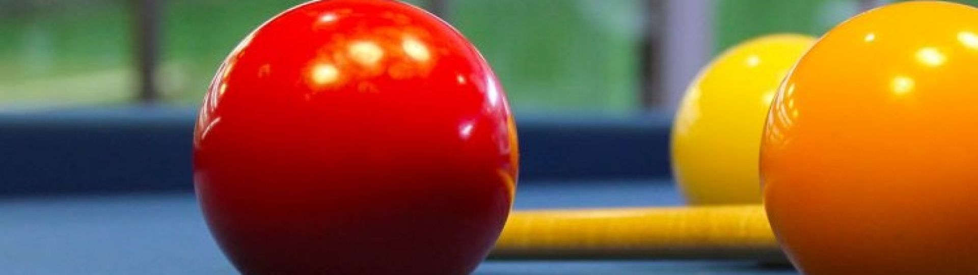 Biljarten – Vijverstate